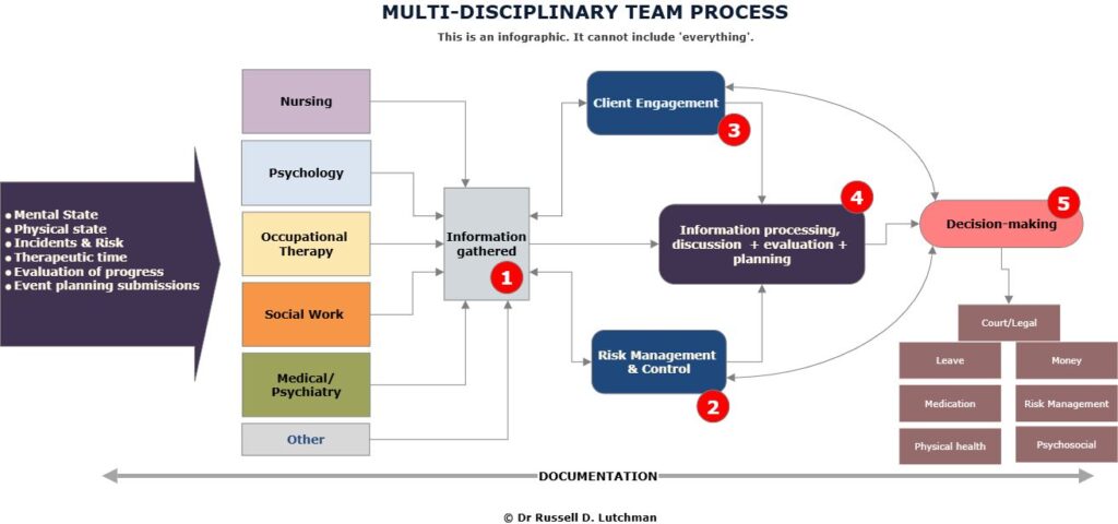 Understanding Ward Rounds in Psychiatry - Investigative Psychiatry